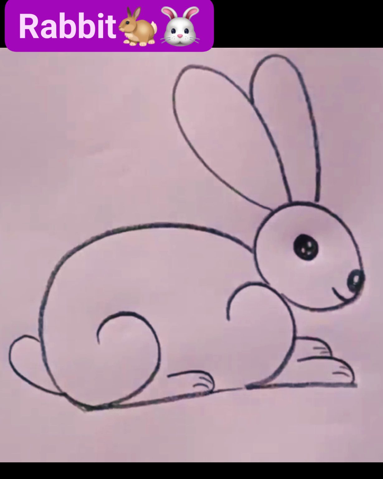 Tổng hợp 5 cách vẽ con thỏ đơn giản, đẹp nhất hiện nay