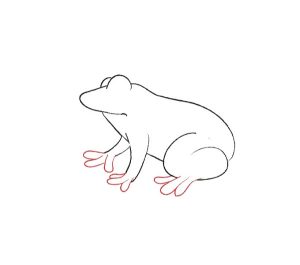 Bật mí tuyệt chiêu vẽ con ếch siêu đáng yêu chỉ trong 5 phút